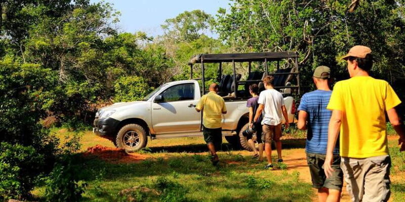 From Hikkaduwa: Udawalawe National Park Safari Tour - Who Will Love This Tour?