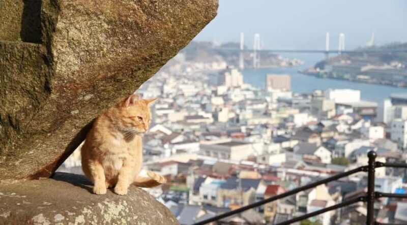 From Hiroshima/Fukuyama:1 Day Bus tour in Onomichi Tomonoura - Key Points