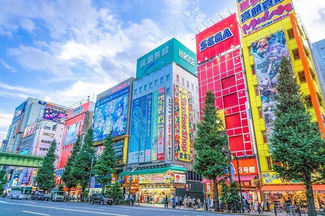 From History to Subculture: Akihabara & Ueno Must-See Tour! - Key Points