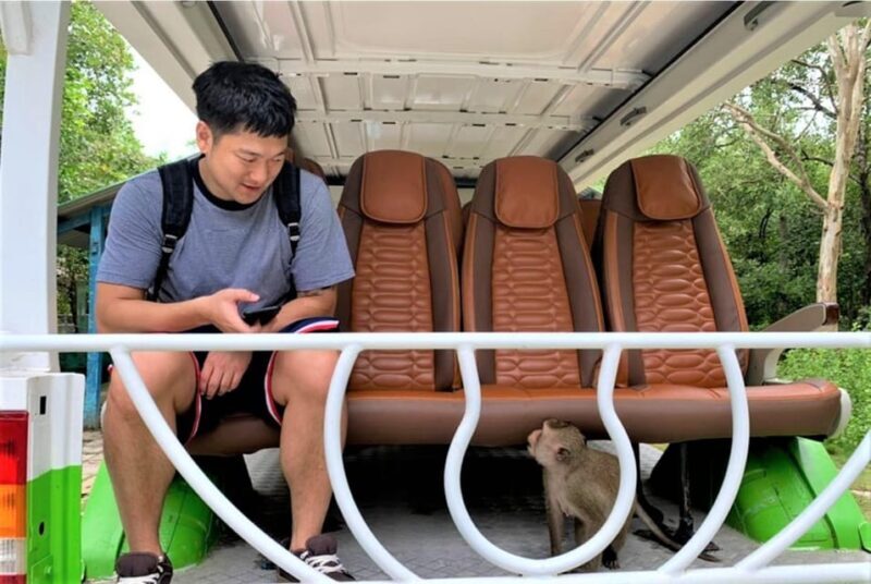 From Ho Chi Minh: Can Gio Mangrove Forest & Monkey Island - Why This Tour Excels: Authenticity and Viewpoints