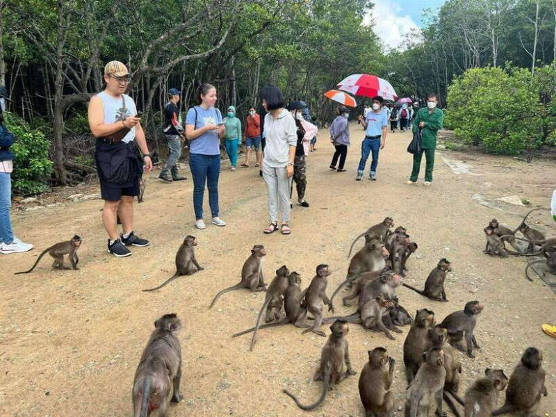 From Ho Chi Minh City: 1-day tour Can Gio Monkey Island - Who Will Love This Tour?
