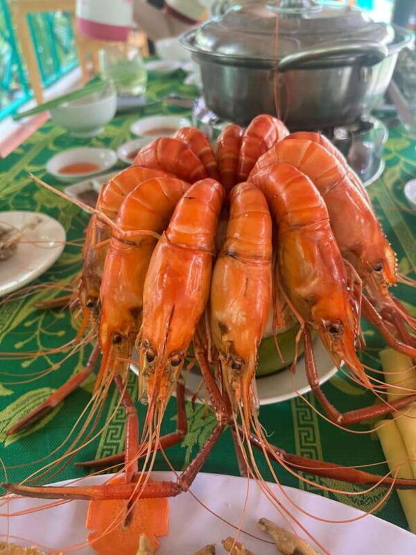 From Ho Chi Minh City: Ben Tre - The Coconut Land with Lunch - Why We Think This Tour Offers Solid Value