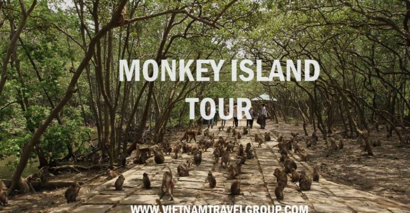 From Ho Chi Minh City: Can Gio Mangrove Guided Forest Tour - A Smooth Start from Ho Chi Minh City