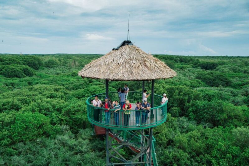 From Ho Chi Minh City: Can Gio Mangrove Guided Forest Tour - Monkey Island: Playful Encounters and Curious Monkeys