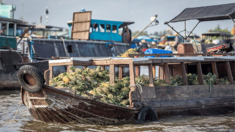 From Ho Chi Minh City: Less tourist 2D tour Ben Tre-Can Tho - The Sum Up