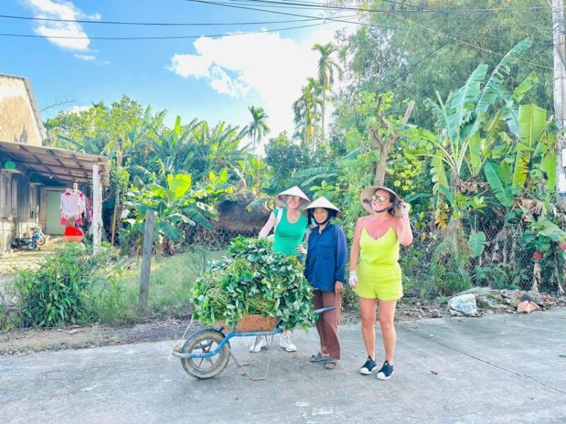 From Ho Chi Minh: Explore Mekong Delta & Vinh Trang Pagoda - Key Points