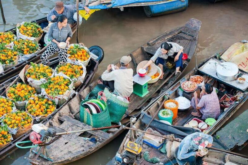 From Ho Chi Minh: Mekong Delta 2 Days 1 Night - Key Points