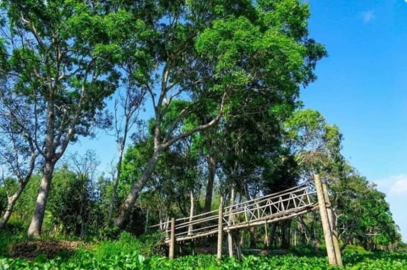 From Ho Chi Minh: Mekong Delta 3-Day Tour with Tra Su Forest - Who Is This Tour Best For?