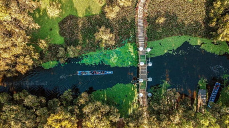 From Ho Chi Minh: Mekong Delta 3-day w Tra Su Forest - What’s the Experience Like?