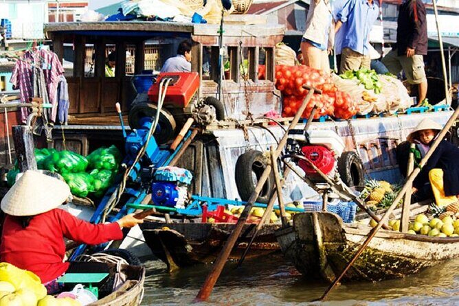From Ho Chi Minh: Mekong Delta and Cai Rang Market 2-Day Trip - Key Points