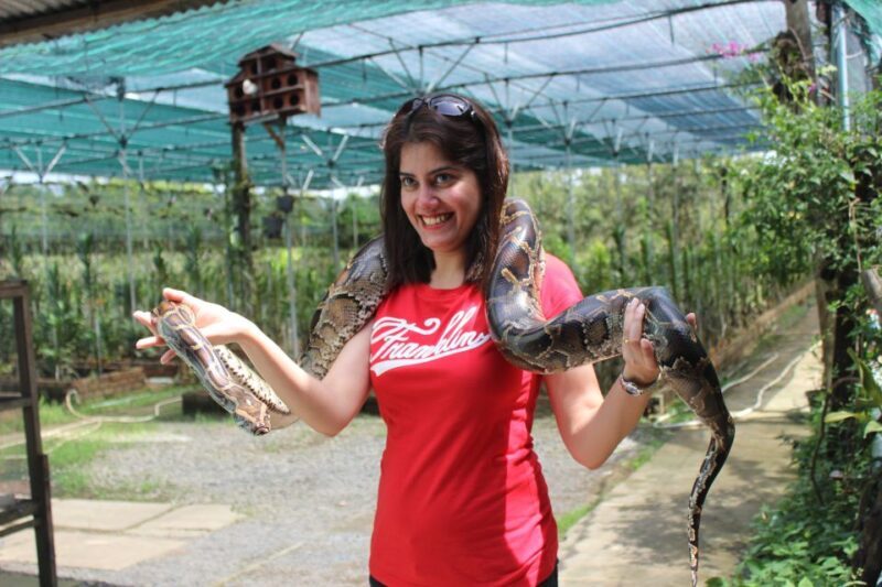 From Ho Chi Minh: Mekong Delta Private Day Tour - FAQ