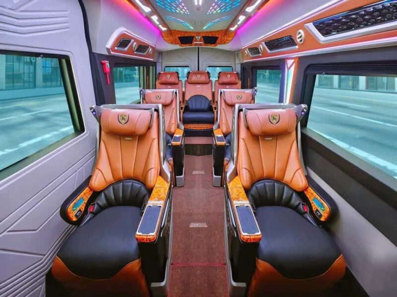 From Ho Chi Minh: Mekong Delta Tour| Vip Limousine Option - Key Points