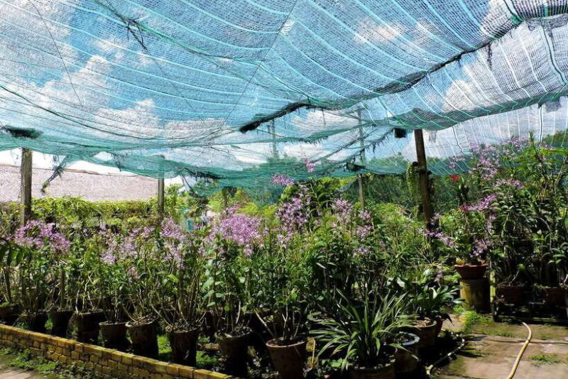 From Ho Chi Minh: Mekong Delta Tour with Cooking Class - FAQs