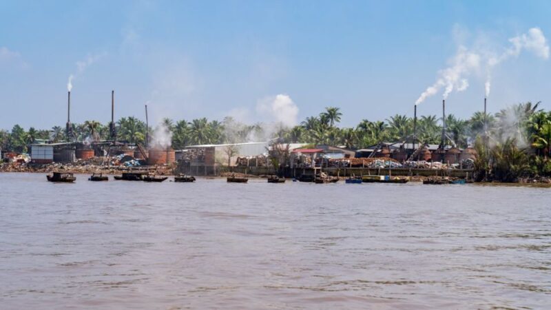 From Ho Chi Minh: Mekong Delta with Ben Tre 1 Day Tour - An In-Depth Look at the Mekong Delta Ben Tre Tour