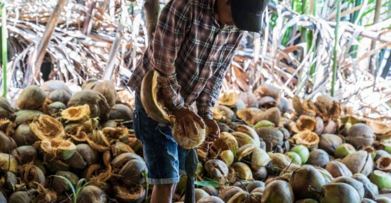 From Ho Chi Minh: Mekong Delta with Ben Tre 1 Day Tour - Why This Tour Offers Real Value