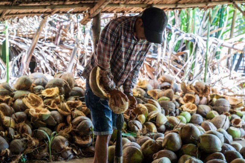 From Ho Chi Minh: Mekong Delta with Ben Tre 1 Day Tour - FAQs