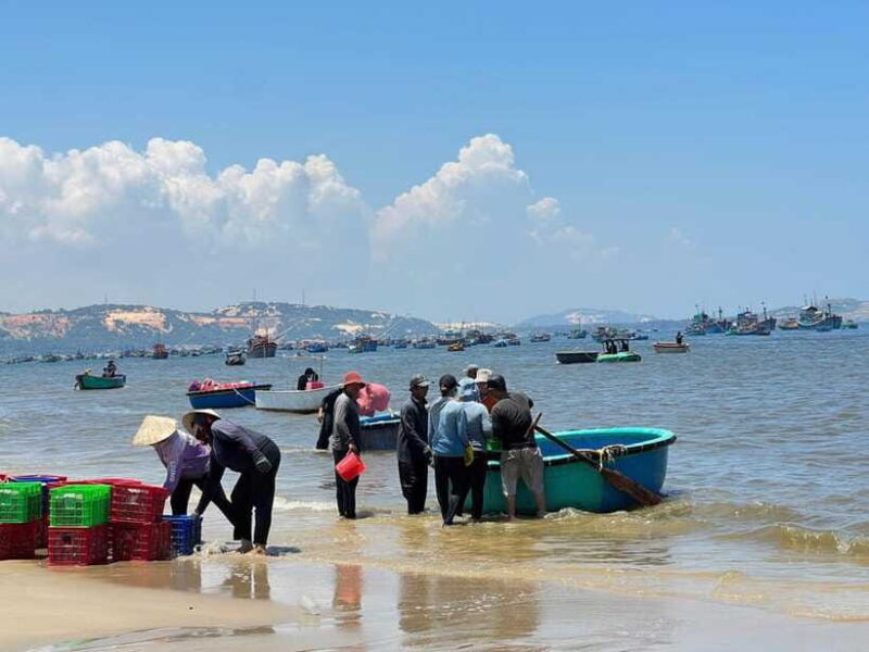 From Ho Chi Minh: Mui Ne and Phan Thiet Day Trip - Final Thoughts