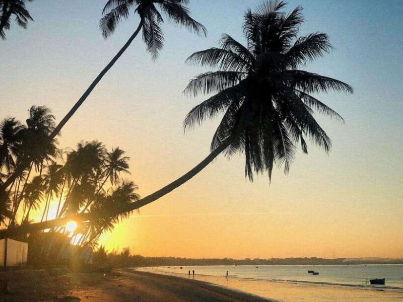 From Ho Chi Minh: Mui Ne Sand Dunes and Beach Day Tour - Key Points