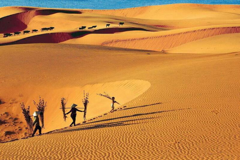 From Ho Chi Minh: Mui Ne White Sand Dunes Day Trip - An In-Depth Look at the Tour