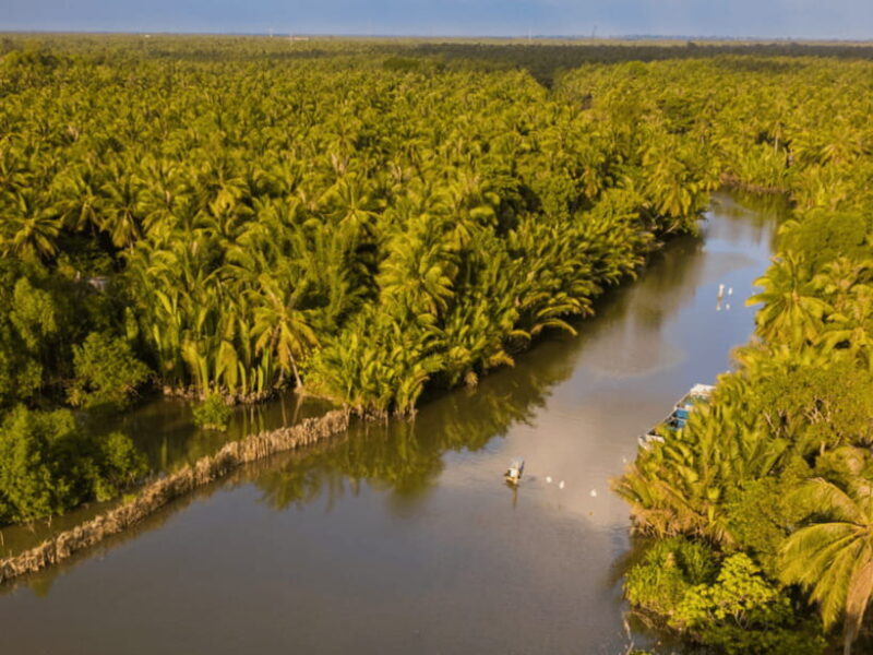 From Ho Chi Minh: My Tho Ben Tre Mekong with Lunch - The Value Proposition