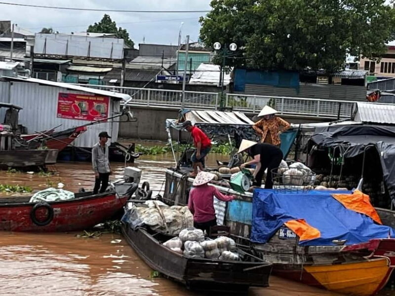 From Ho Chi Minh: The Floating Market - Bird Sanctuary 2Days - A Closer Look at the Ho Chi Minh: The Floating Market - Bird Sanctuary 2Days Tour