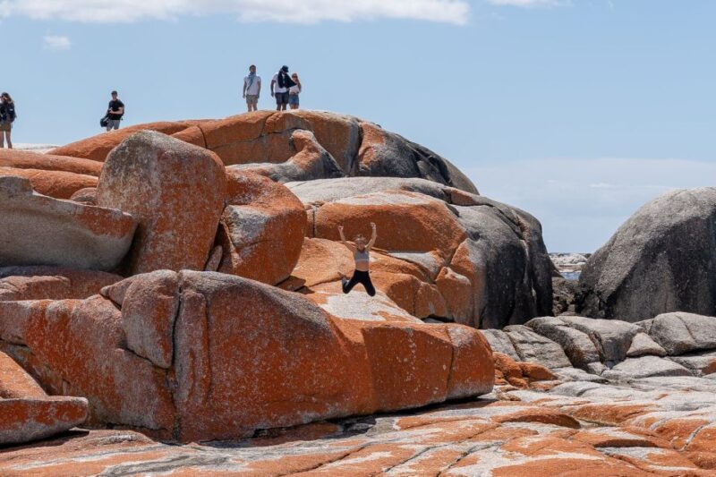 From Hobart: 5-Day Tasmania West & East Coast Tour - The Group Experience & Comfort