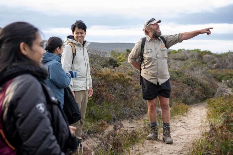 From Hobart: Bruny Island Nature & Produce Adventure Tour - A Deep Dive into the Bruny Island Experience