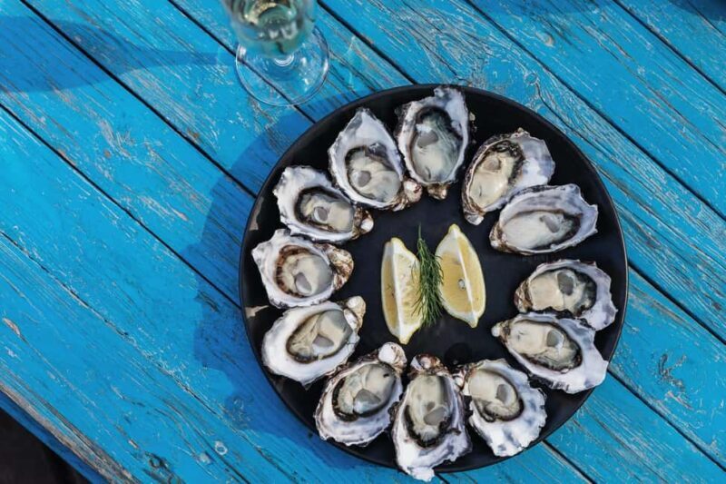 From Hobart: Bruny Island Nature & Produce Adventure Tour - Who Is This Tour Best For?