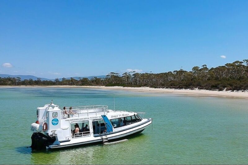 From Hobart: Day Tour to Maria Island with Bus Connection - Introduction: A Well-Rounded Day Trip from Hobart