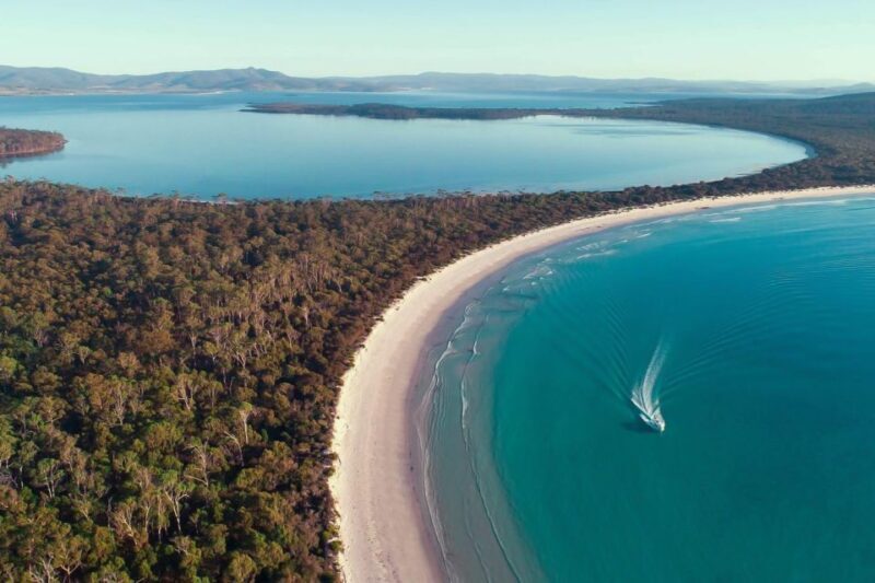 From Hobart: Day Tour to Maria Island with Bus Connection - Final Thoughts: The Right Fit for Curious Travelers
