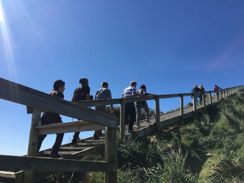 From Hobart: Full-Day Bruny Island Tour with Guide - An In-Depth Look at the Tour Experience