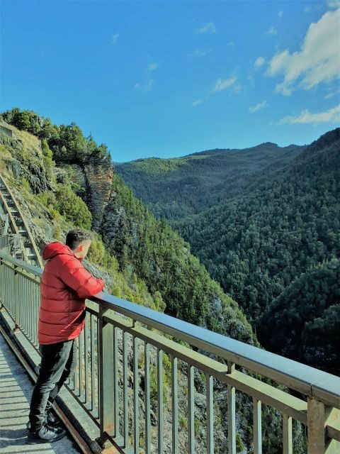 From Hobart: Gordon Dam and Lake Pedder Wilderness Day Tour - Creepy Crawly Walk and Temperate Rainforest