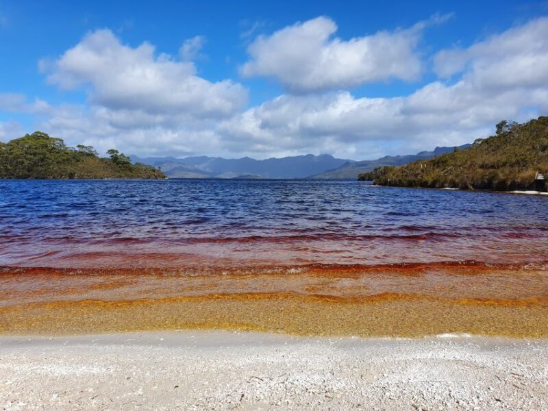 From Hobart: Gordon Dam and Lake Pedder Wilderness Day Tour - Walking Along Lake Pedder Shore