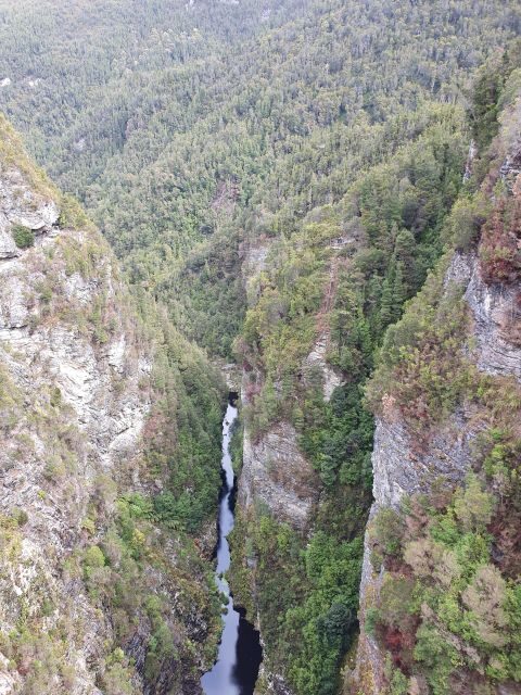 From Hobart: Gordon Dam and Lake Pedder Wilderness Day Tour - Climbing Up to Nob Hill Lookout