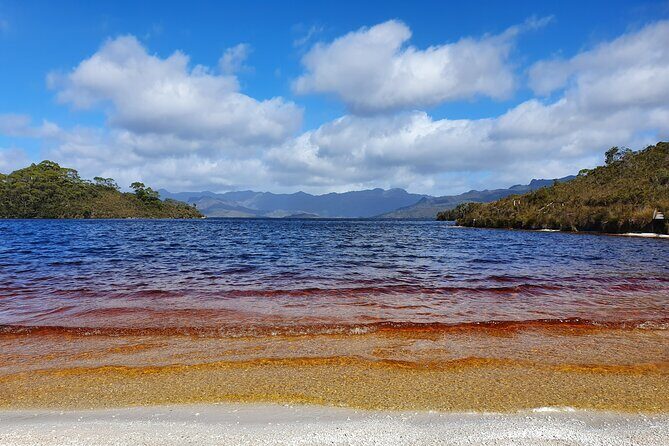 From Hobart: Gordon Dam and Lake Pedder Wilderness Day Tour - The Practicalities: What You Need to Know