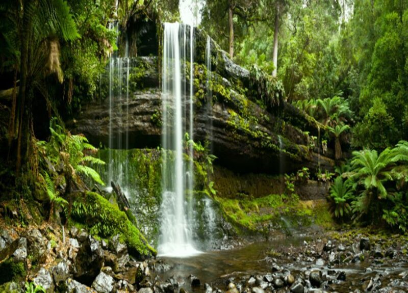 From Hobart: Mt. Field National Park and Russell Falls - Why Choose This Tour?