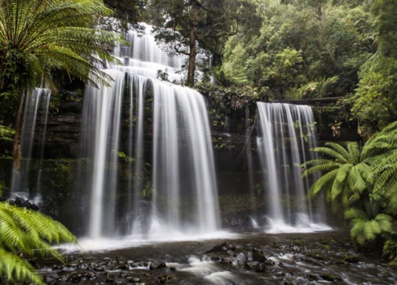 From Hobart: Mt. Field National Park and Russell Falls - The Sum Up