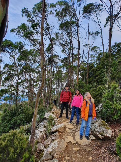 From Hobart: Mt Wellington Morning Walking Tour - Summary: Who Should Book This Tour?