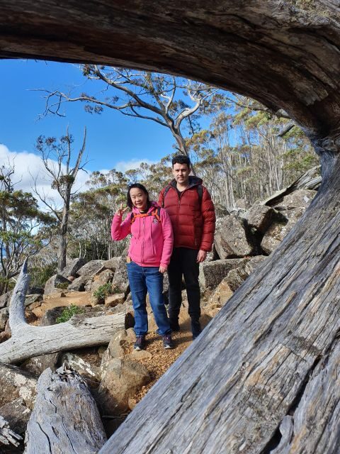From Hobart: Mt Wellington Morning Walking Tour - Frequently Asked Questions (FAQs)