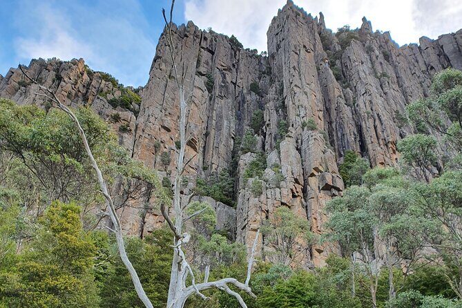 From Hobart: Mt Wellington Morning Walking Tour - Practical Details and Value