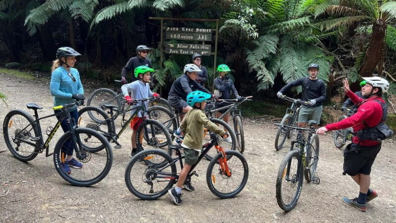 From Hobart: Mt Wellington Summit & Rainforest Bike Tour - An In-Depth Look at the Tour Experience