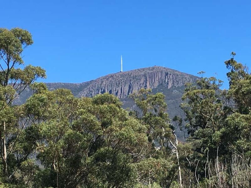 From Hobart: Mt Wellington Summit & Rainforest Bike Tour - Final Thoughts