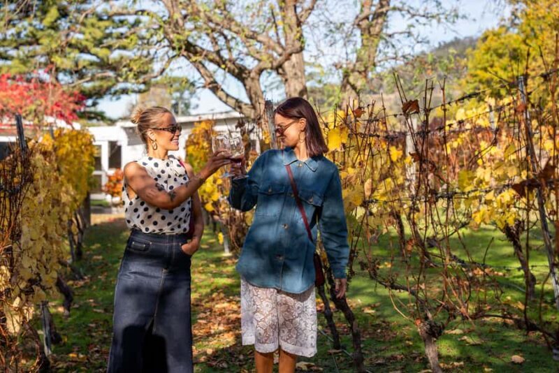 From Hobart: Tasmanian Wine Tour - Exploring the Itinerary: What You’ll Experience