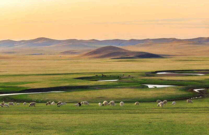 From Hohhot: 8-Day Inner Mongolia Private Tour to Ordos - Exploring the Journey: What This Tour Offers