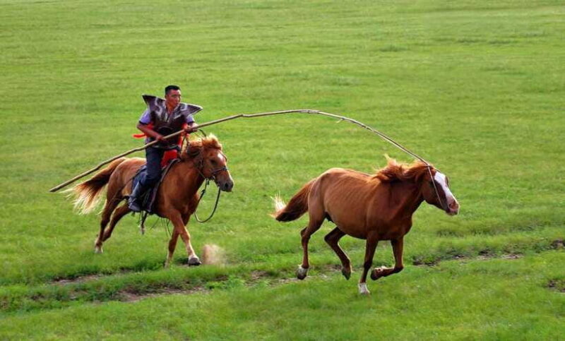 From Hohhot: 8-Day Inner Mongolia Private Tour to Ordos - Frequently Asked Questions