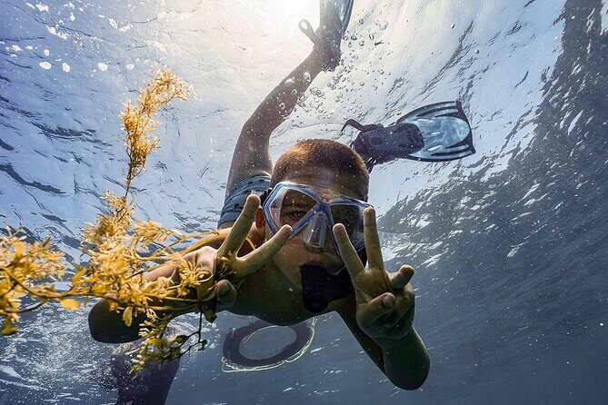 From Hoi An: Cham Islands Snorkeling Tour with Relaxing Beach - Who Will Enjoy This Tour?