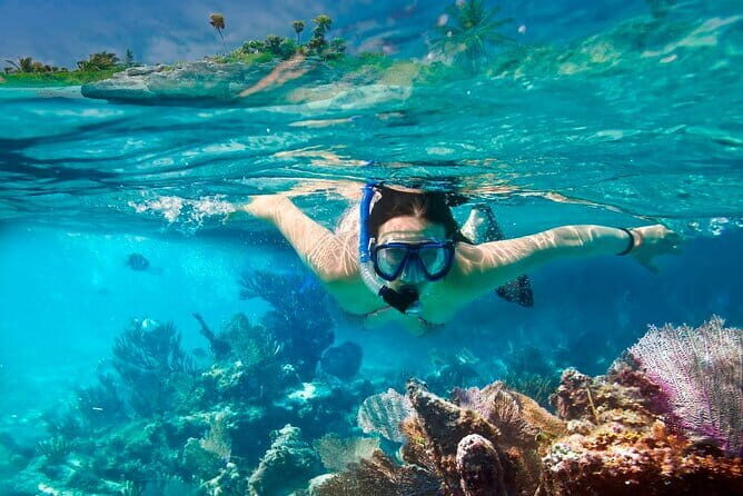 From Hoi An/Da Nang: Amazing Cham Island Snorkeling Tour - A Practical Dive into the Cham Island Snorkeling Tour