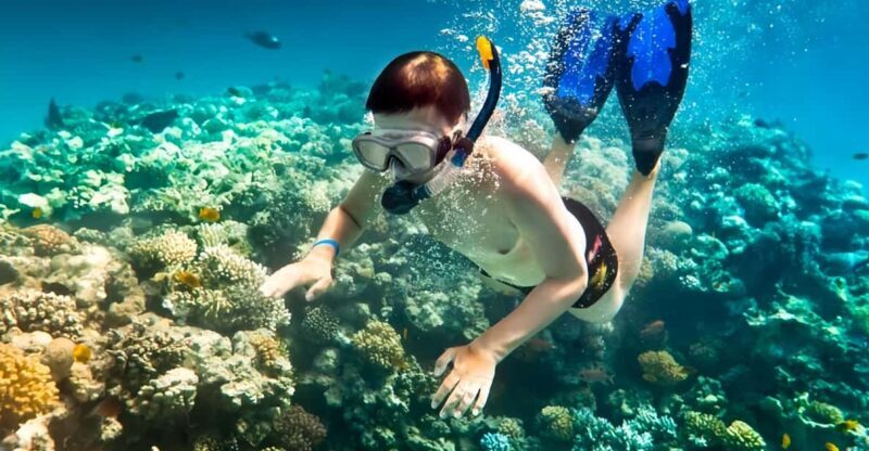 From Hoi An/ Da Nang: Swimming & Snorkeling In Cham Islands - An In-Depth Look at the Cham Islands Tour