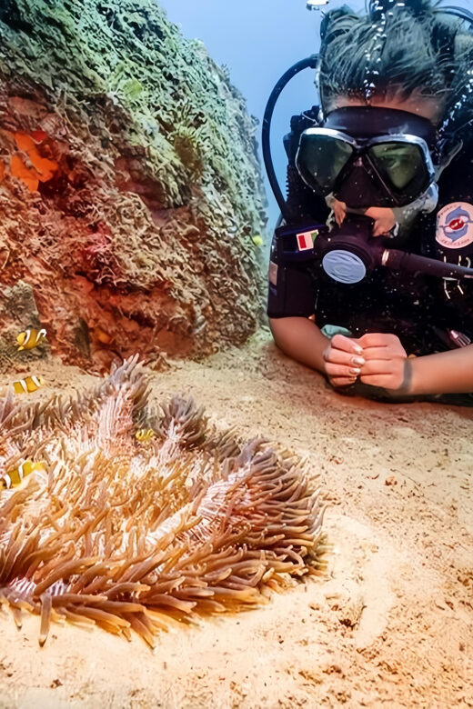 From Hoi An/ Da Nang: Swimming & Snorkeling In Cham Islands - Final Thoughts