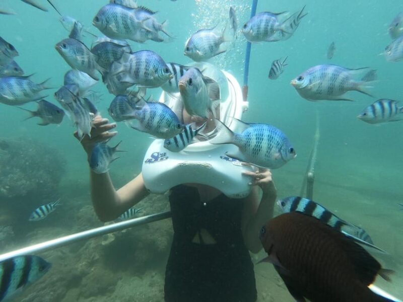 From Hoi An/ Da Nang: Swimming & Snorkeling In Cham Islands - Frequently Asked Questions